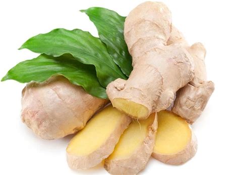 Deegayu Herbal ඉගුරු Zingier Officinale අඩියක් පමණ උස