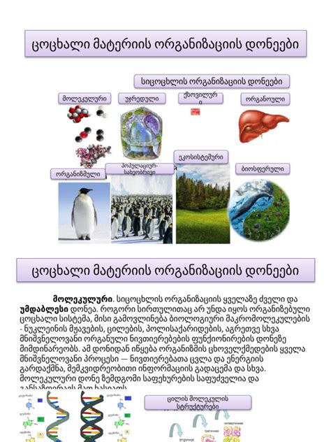 Inbound 774496102896109914 Pdf