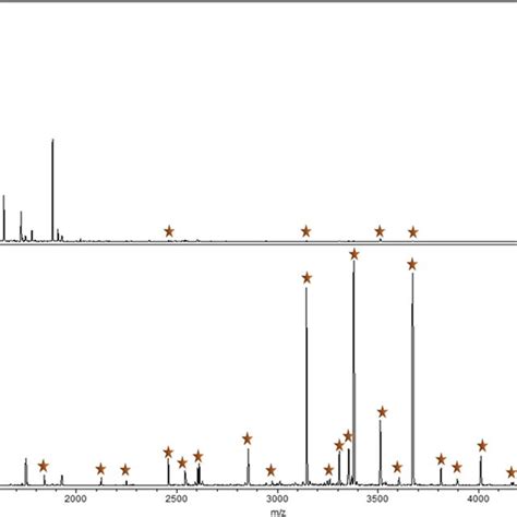 Maldi Tof Mass Spectra For The Enriched Glycopeptides From Hrp Tryptic Download Scientific