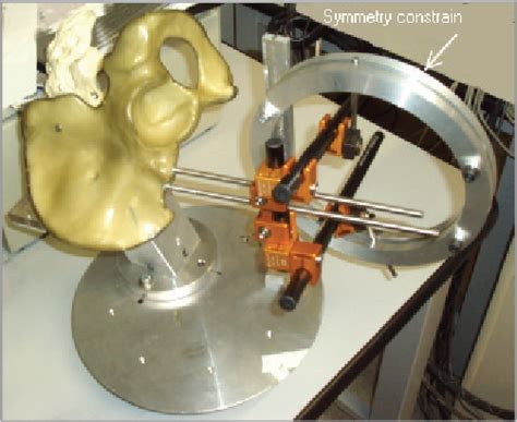 Figure 2 From Human Pelvis Loading Rig For Static And Dynamic Stress Analysis Semantic Scholar
