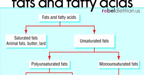 Oils Fatty Acids Fat Sources Alyssa