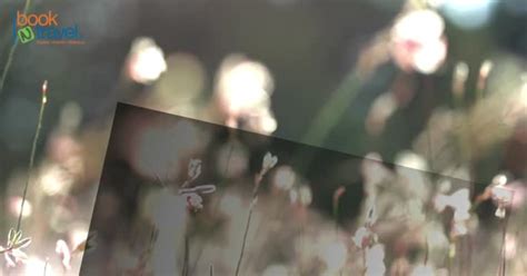 [video] Bookntravel On Linkedin Exploreindia Travelgoals Bookntravel Placestovisit