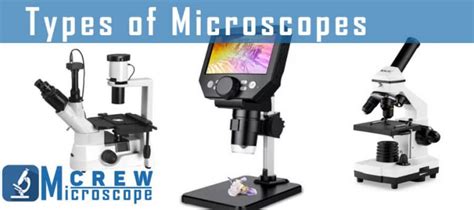 Types Of Microscope Parts Features Uses Microscope Crew