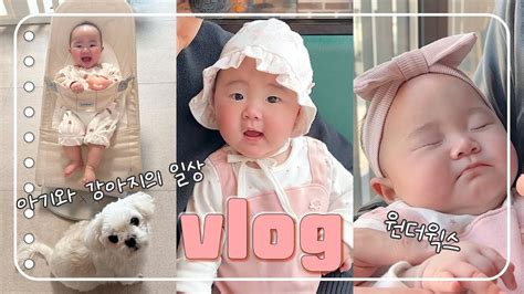 VLOG 개월 아기 아직 개월 원더윅스 진행중 김포현대프리미엄아웃렛 YouTube