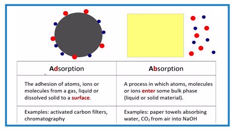 Absorption Vs Adsorption 10 Differences Examples Vrogue Co