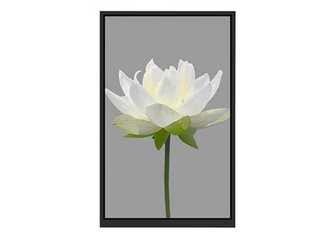 Z80008 SPM288 8 Inch 800 1280 IPS LCD Module Full View MIPI Interface 40PIN Zhunyi