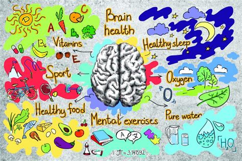 Use It Or Lose It Brain Fitness For Full Function Lola Magazine