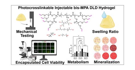 Injectable Dendritic Hydrogels Curable By High Energy Visible Light For Cell Delivery In Bone