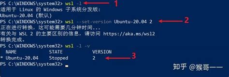 安利 WSL Linux 子系统真香完整实操 知乎