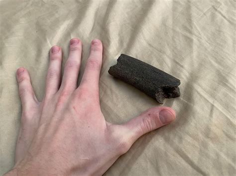 help identifying fossil r fossils