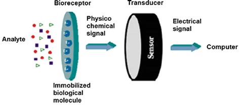 Schematic Of A Biosensor Download Scientific Diagram