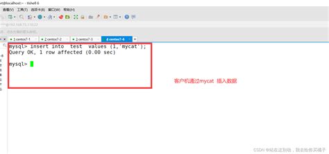mysql读写分离之mycat的运用 mycat重启 CSDN博客