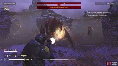 How To Find And Kill Brood Commander Helldivers 2 Terminids