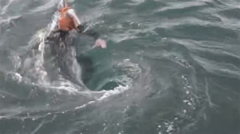 How To Survive Being Sucked Into A Whirlpool Survival Water Whirlpool