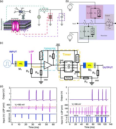 Neuromorphic Visual And Tactile Perception System Constructed By