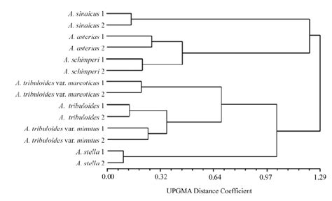 UPGMA Tree Illustrating The Relationships Among Astragalus Taxa Based Download Scientific