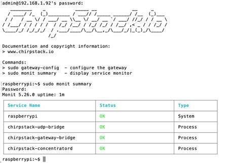SOLVED Is There A Way To Automatically Start Chirpstack Udp Bridge At Boot Time ChirpStack