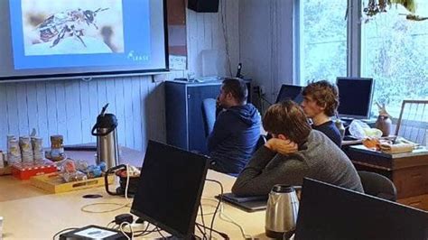 Codebeez On Linkedin Codebeez Hackathon By Day Do 8 Sep 2022 0930 Meetup