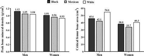 Peak Femur Bone Mineral Density And Critical Femur Bone Areal Size