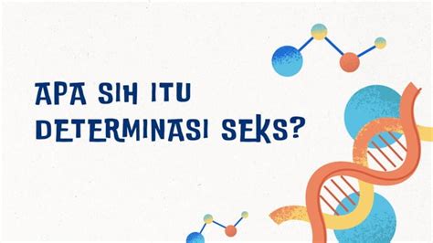 Determinasi Seks Ppt PDF Pdf