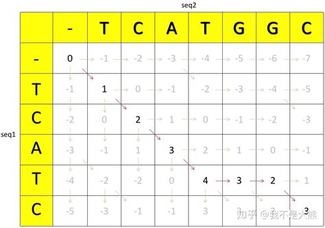 用python从头实现needleman Wunsch序列比对算法 知乎