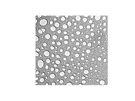 Ts1 Tem Test Standard Perforated Carbon Film Labtech