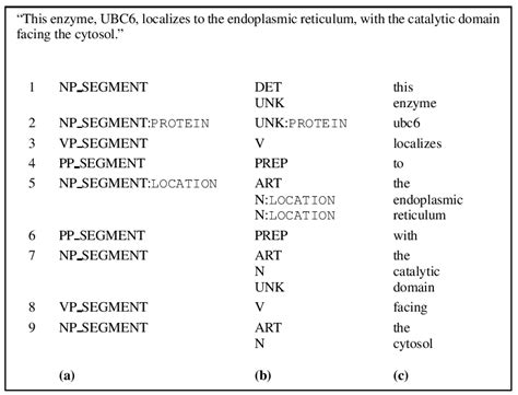 Input Representation For A Sentence Which Contains A Download Scientific Diagram
