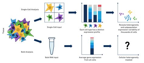 系统学习单细胞转录组测序scrna Seq 一 Public Library Of Bioinformatics