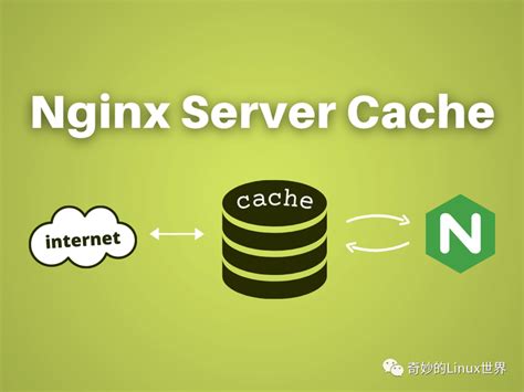 Nginx 缓存优化与反向代理 知乎
