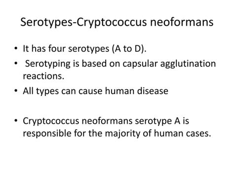 Cryptococcus Pptx
