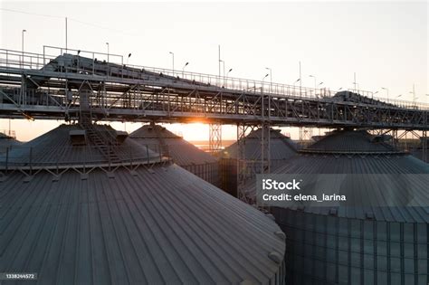 현대 바다 상업 항구의 곡물 터미널 석면의 광선에 곡물을 저장하기위한 사일로 쿼드 콥터에서 상단 보기 0명에 대한 스톡 사진 및 기타 이미지 Istock