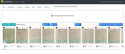 Export Data Escriptorium Documentation