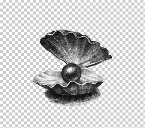 Pearls Clipart Black And White