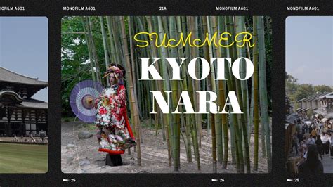 일본 감성 필수코스 교토and나라에서 힐링여행 즐기기 Youtube