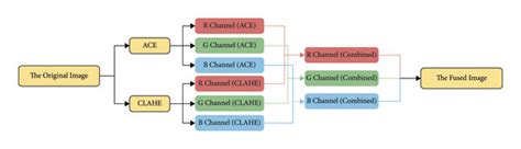 Image Fusion Algorithm Process Download Scientific Diagram