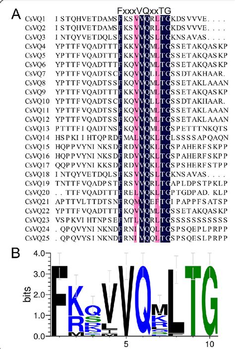 multiple sequence alignment of vq proteins in tea plant sequences were