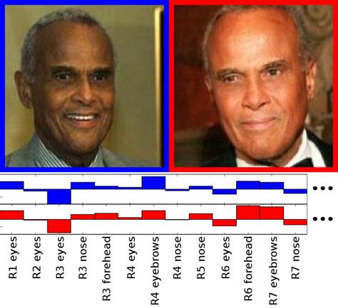 Simile Classifiers We Use A Large Number Of Simile Download