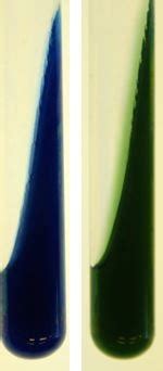 Citrate Test Diagram Quizlet