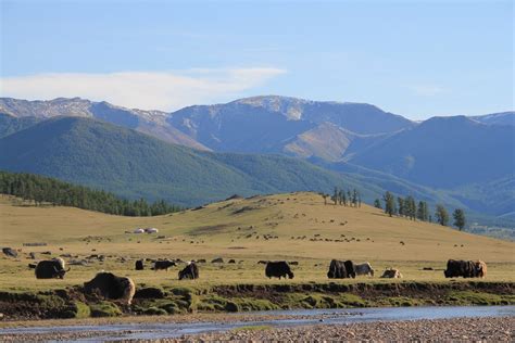 Увс аймгийн Өндөрхангай сум