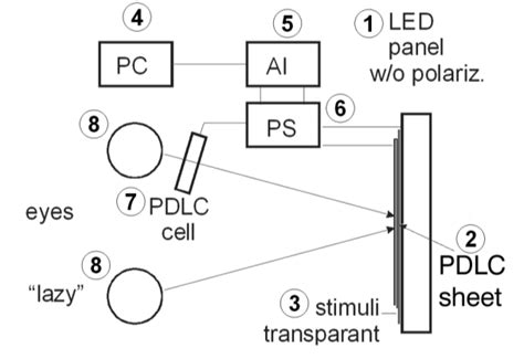 layout of visual perception experiments pc personal computer al