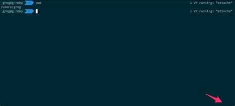 macos zsh sticky prompt stack overflow