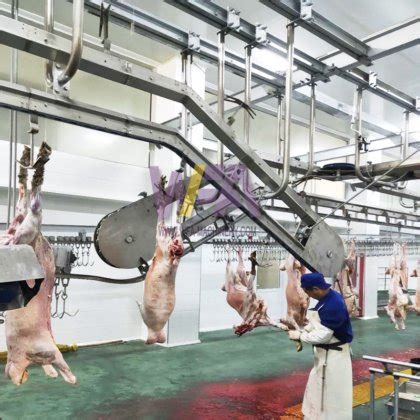 Complete halal lamb slaughtering machine sheep slaughterhouse for goats ...