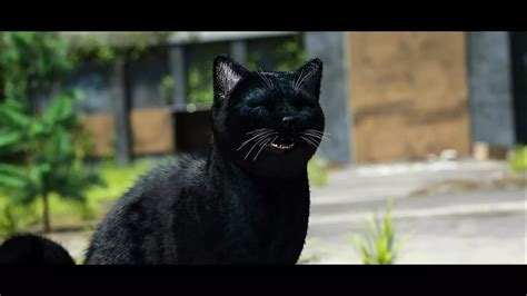 Free Send Nudes Porn Videos Xhamster