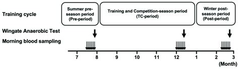 Schematic Overview Of The Experimental Design The Bold Arrows Indicate