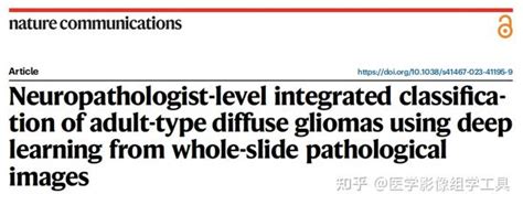 生境分析 病理组学）平台实操讲解：使用深度学习从全切片病理图像对成人型弥漫性胶质瘤进行神经病理学家级别的综合分类 知乎
