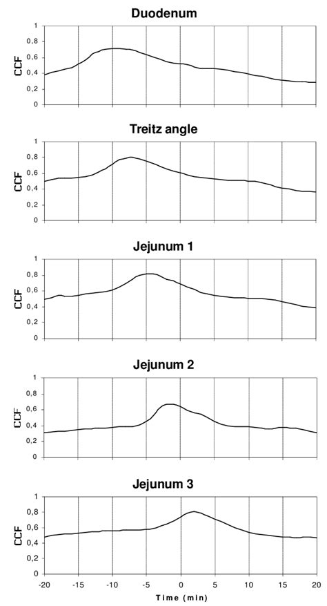 Correlation Coefficient Functions CCF Between EF2 Calculated From Download Scientific Diagram