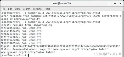 docker容器三之docker仓库（hub、registry和harbor） dockerhub csdn博客