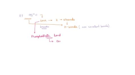 Solved The Cell Culture Laboratory Included A Step To Detach The Cells From The Cell Culture