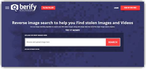 10 melhores ferramentas gratuitas de busca de rosto para reconhecimento facial online 2025