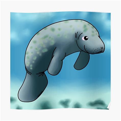Manatee Chibi Poster By Rainbowcho Redbubble